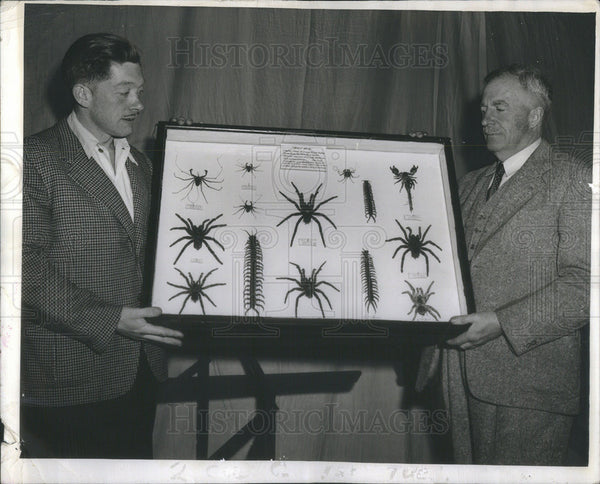 1942 Press Photo John May Hold Tarantulas Scorpions Case at Coliseum ...