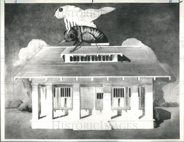 1988 Press Photo Ellen Lanyon's Cicada 1974 On Display - Historic Images