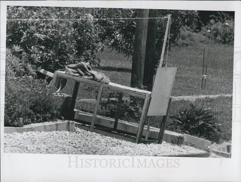 Press Photo A duck Trap on a lake shore. - Historic Images