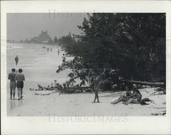 Calm After Storm Named Agnes Trees Down Beach Lovers Again Sun 1972 ...