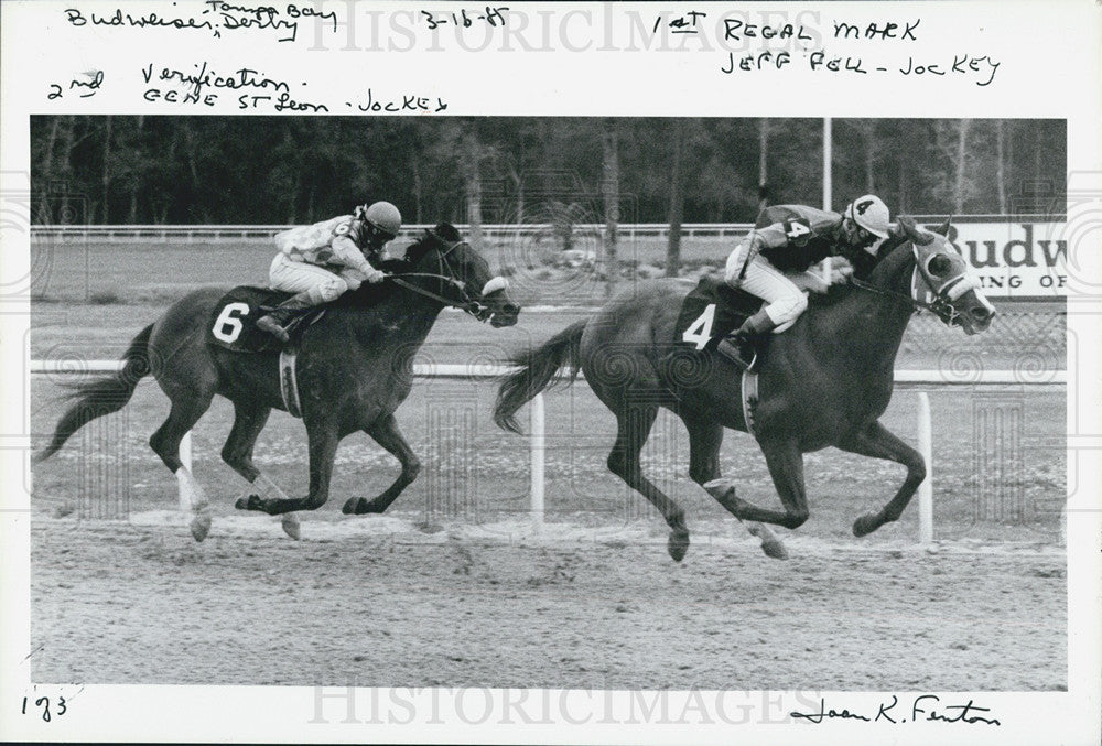 Tampa Bay Downs Race Jeff Fell Gene St. Lion 1985 Vintage Press Photo ...
