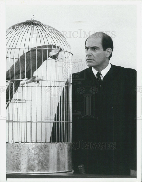 Alan Rachins Actor L.A. Law 1987 Vintage Press Photo Print - Historic ...