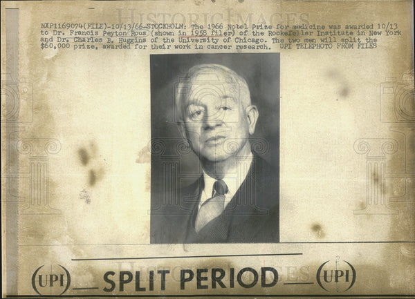 Nobel Prize winner in medicine to Dr Francis Payton Rous 1966 Vintage ...