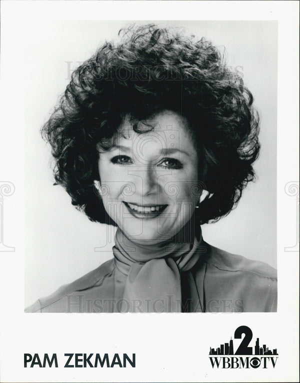 Pam Zekman WBBH-TV Undated Vintage Press Photo Print - Historic Images