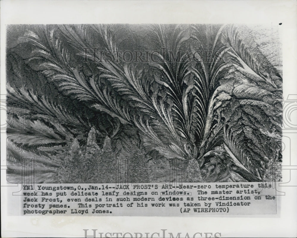 1954 Frost Window Jack Tempature Leaf - Historic Images