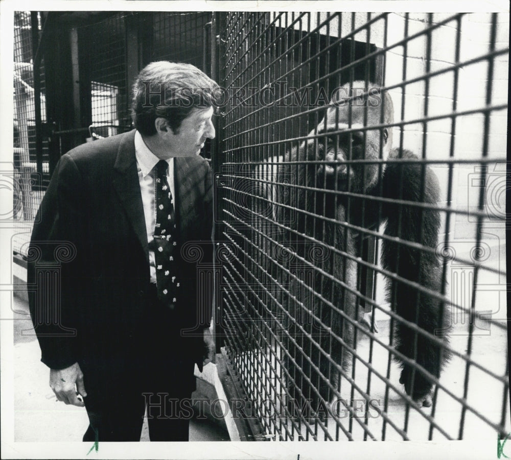 1976 The Great Ape House in Lincoln Park Zoo - Historic Images