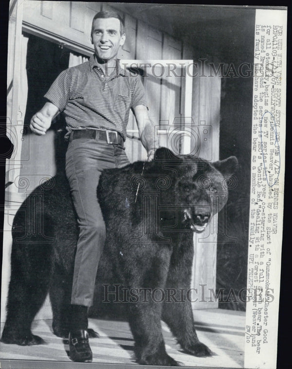 1967 Actor Dennis Weaver Riding a Black Bear on "Gentle Ben" NBC TV ...