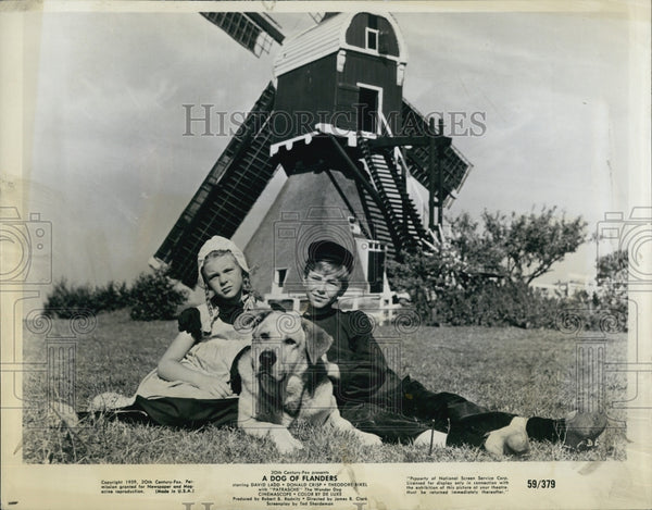 1959 Siobhan Taylor & David Ladd Star In A Dog Of Flanders - Historic ...
