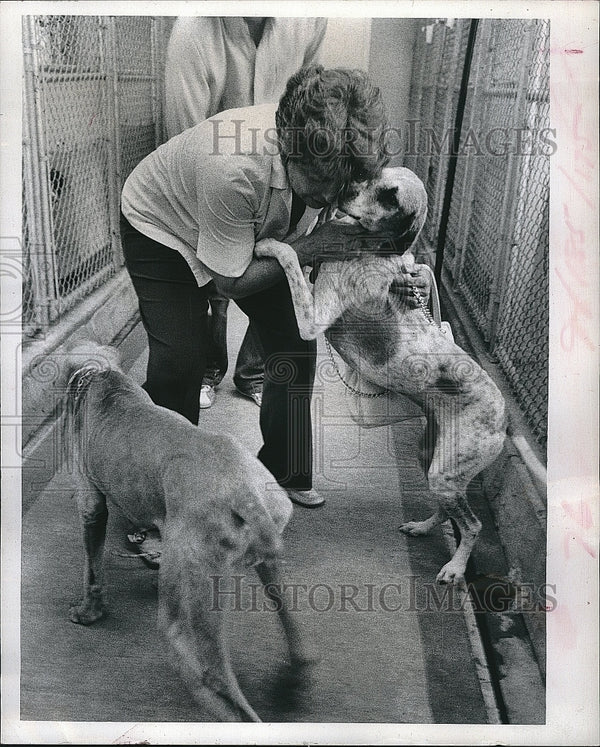 1972 Press Photo Mrs. Virginia James reunited with her 26 pets ...