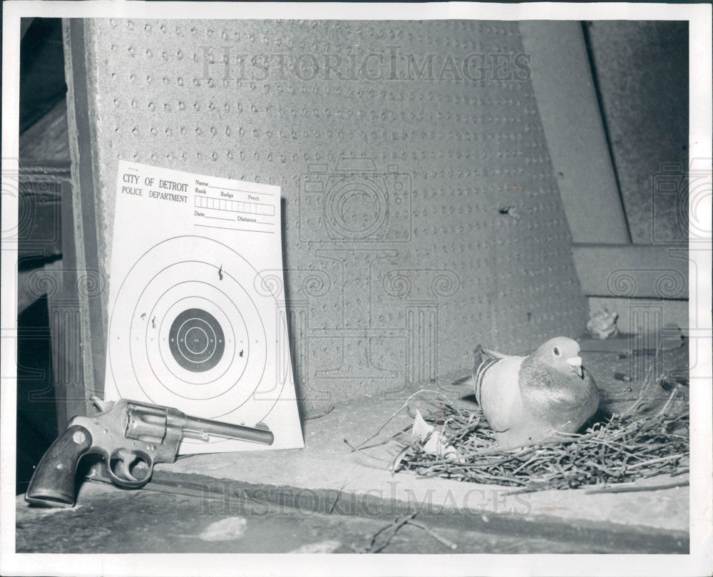 1956 Detroit MI Police Pigeon Stoolie Press Photo - Historic Images