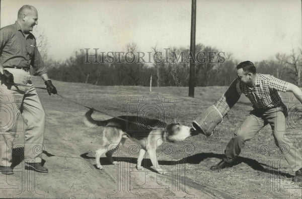 1962, Alabama-Birmingham's Police Department Canine Cop, "Tuff ...