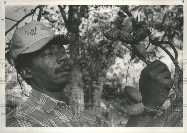 1987 Alabama - Historic Images