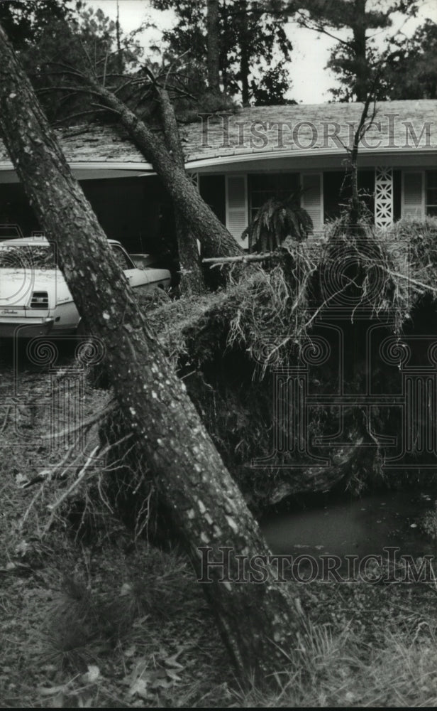 1979, Perry Family Hit by Hurricane Frederic, Alabama - abna13868 ...