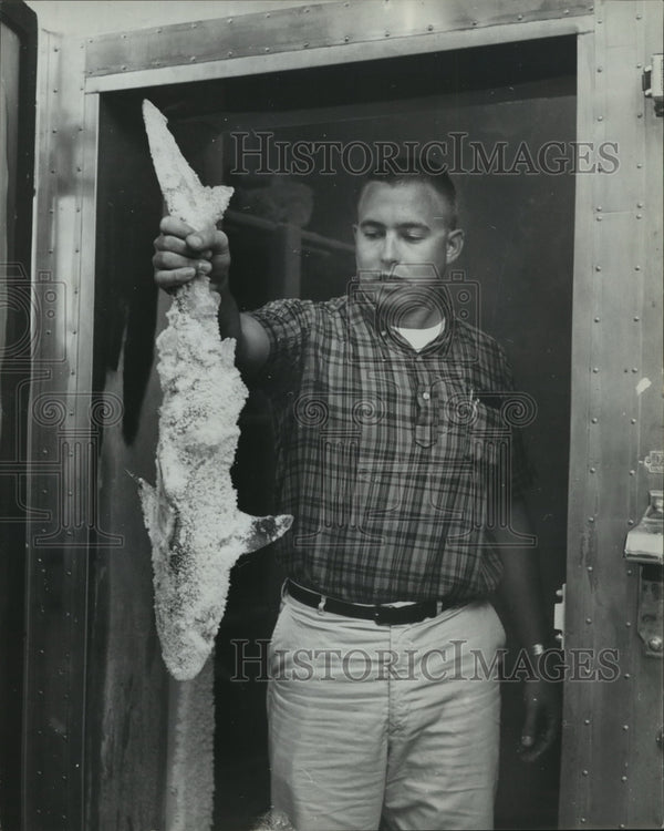 1963, Man hods fish, Dauphin Island Marine laboratory morgue, Alabama ...