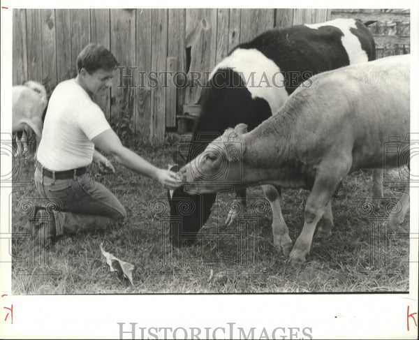 1980, Leon J. Davis Hand-feeding beefalo heifer, Alabama - abna27272 ...