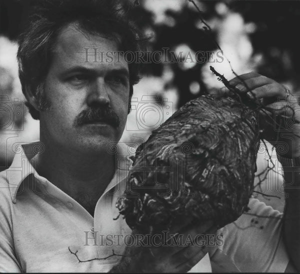 1980, Don Rankin, Artist, holds bird nest - abna40131 - Historic Images