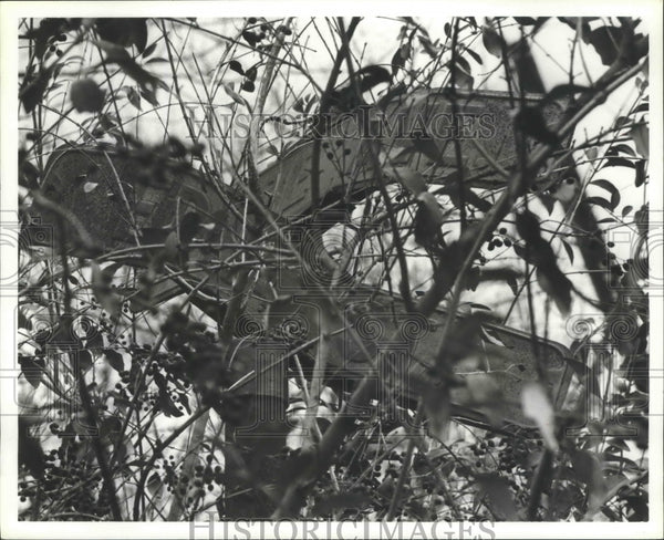 1979 Press Photo Alabama-Tarrant-Bent street signs, rusted over and ha ...