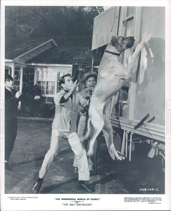 1974 Hollywood Actors Suzanne Pleshette/Dean Jones/Richard Wessel Pres ...