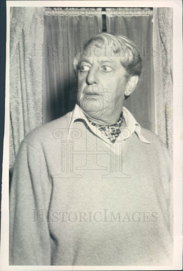 1976 Hollywood American Actor/Movie Star Ray Bolger Press Photo ...