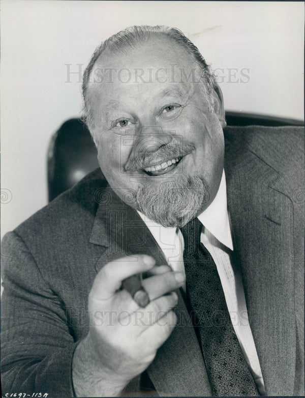 1975 Broadway & Hollywood Actor & Singer Burl Ives Press Photo ...