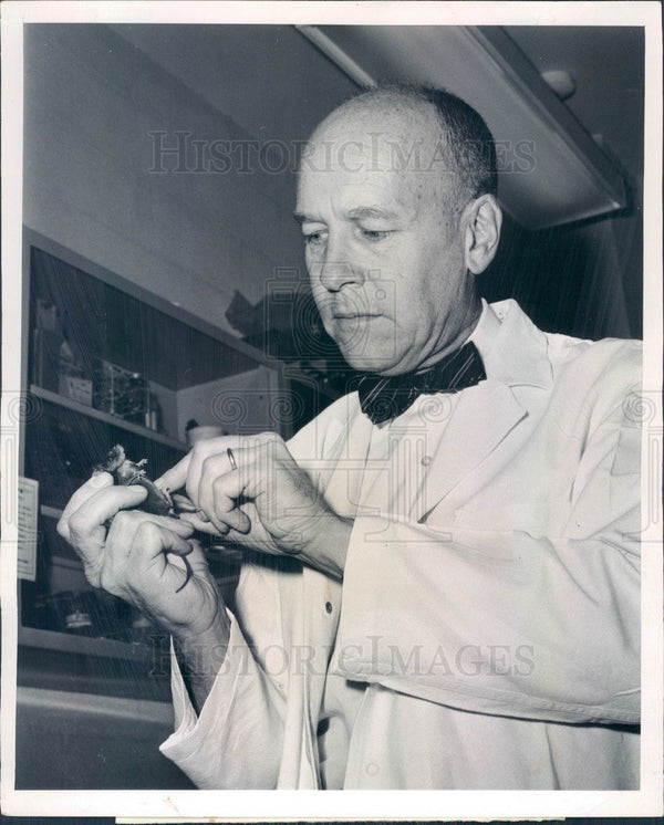 1965 Chemotherapy Researcher Dr. Joseph Burchenal Press Photo ...