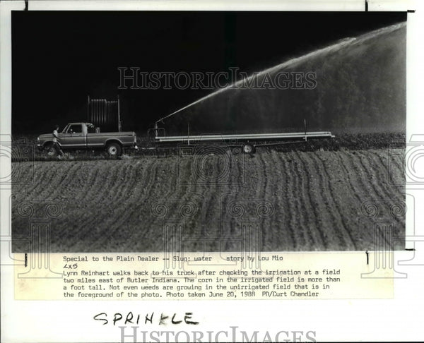 1988 Press Photo Lynn Reinhart at the corn field - Historic Images