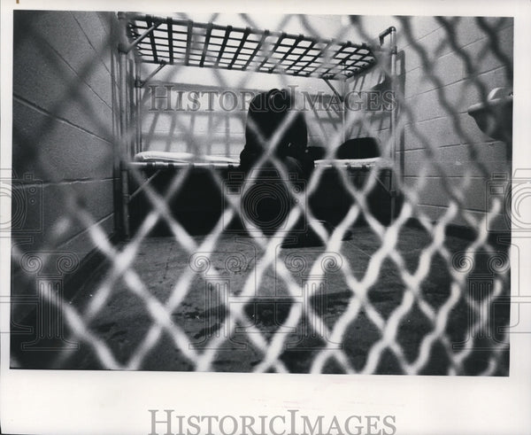 1972 Press Photo Lake County Juvinile Detention Home - cvb13129 ...