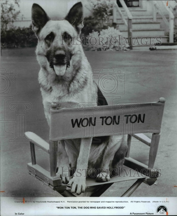 1976 Won Ton Ton, The Dog Who Saved Hollywood - Historic Images