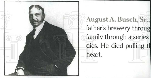 1991 Press Photo August Anheuser Busch IV - Historic Images