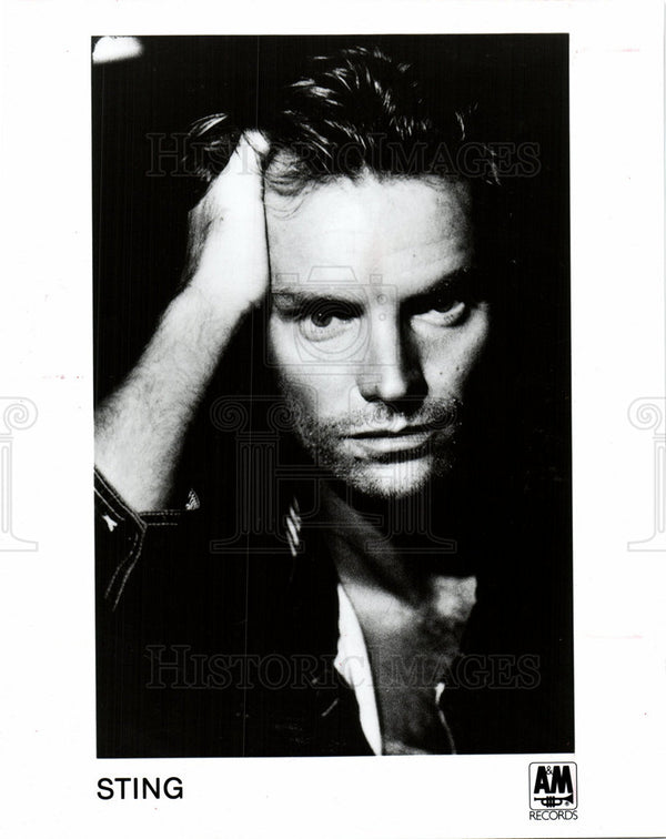 1993 Sting English musician singer actor - Historic Images