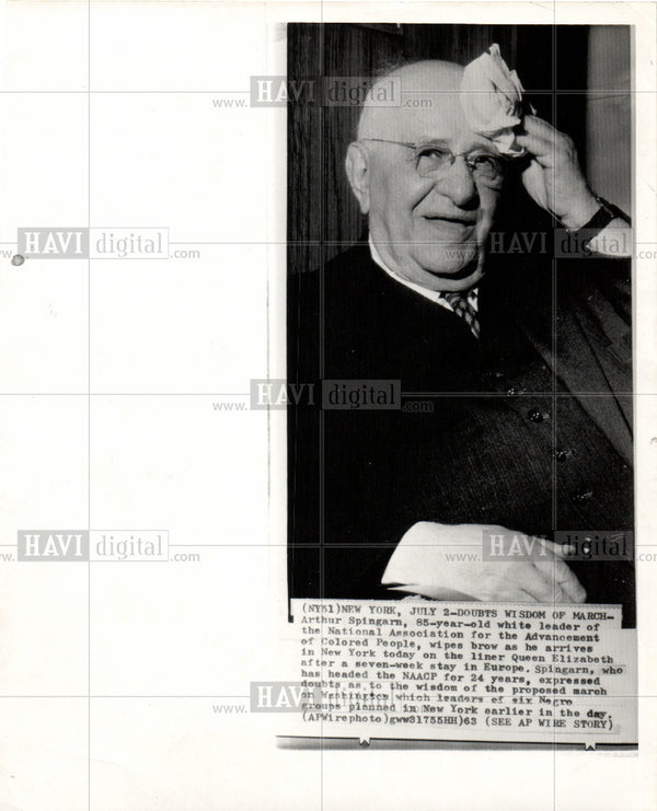 Arthur Spingarn NAACP civil rights 1963 Vintage Photo Print - Historic ...