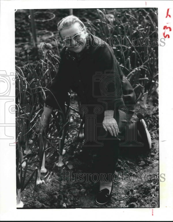 1983 Ellen Slack With Her Onion Crop in Her Garden. - hca19589 ...