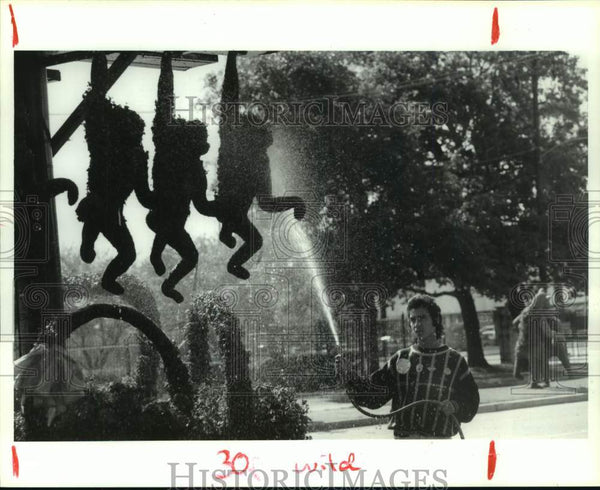 1993 Ludin Lopez waters topiary monkeys at nursery in Houston ...
