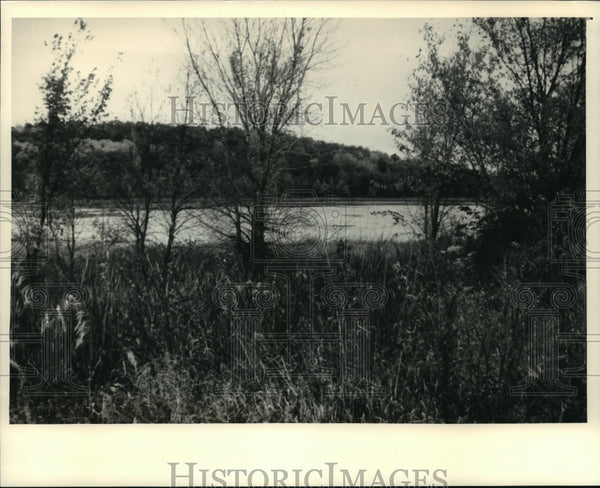 1988 Press Photo Ground Cover Planted at Goose Lake, Wisconsin - mja55 ...