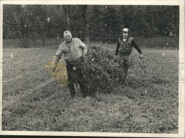 1988 Frank Zebro and son, David, carry their Christmas tree - Historic ...