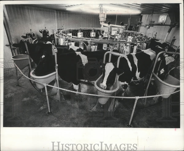 1978 Ronald Luedtke Farm in Lomira Wisconsin Carousel Milking Parlor ...