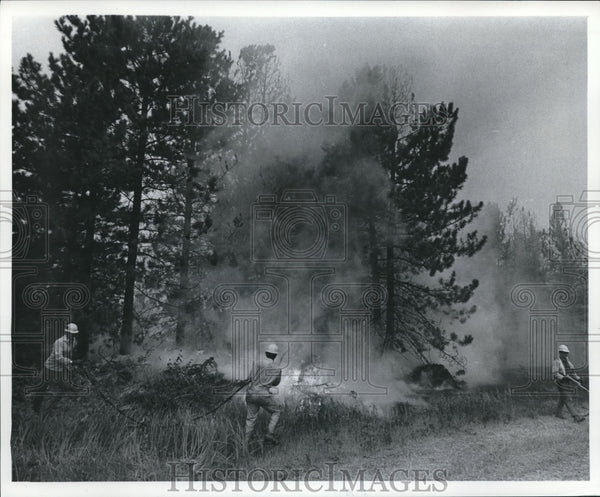 1976 Press Photo Firefighters battle Fire in Seney Wildlife Refuge in ...