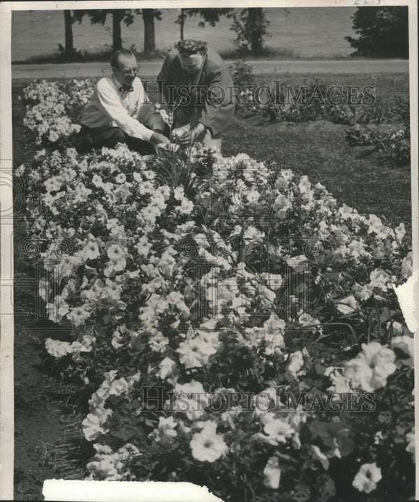 1950 Mr. and Mrs. Chester Thomas in a Flower Bed at their Home ...