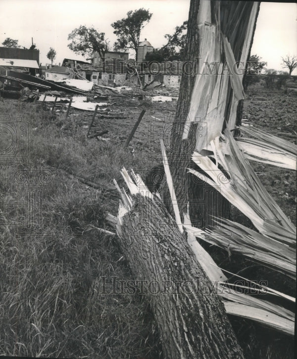 Press Photo Destroyed Barn and Tree After Windstorm on Farm in Hustisf ...