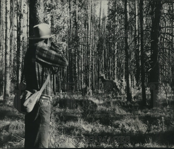 1950, Elk Hunting-Hunter takes aim at Elk, as it prepares to flee ...