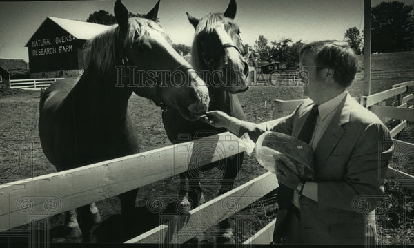 1988 Press Photo Paul Stitt, Owner of Natural Ovens Bakery Manitowoc ...