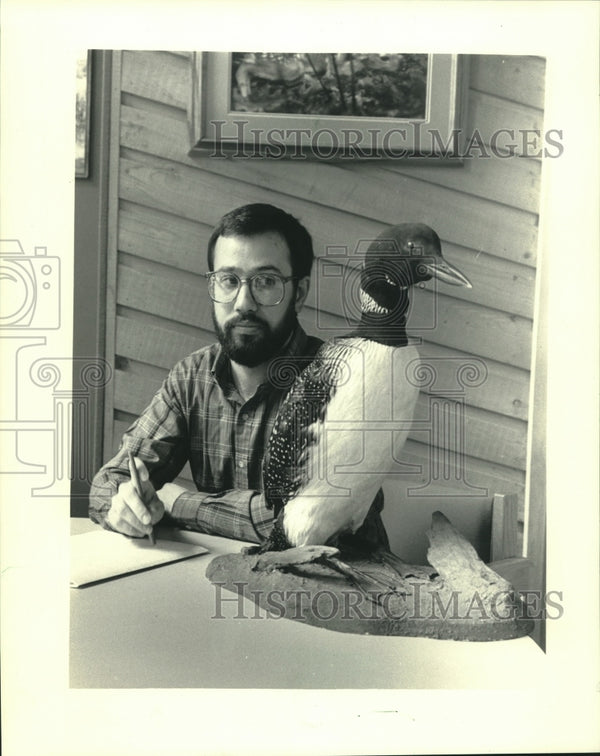 1987, Paul Strong poses with mounted common loon in Ashland - Historic ...