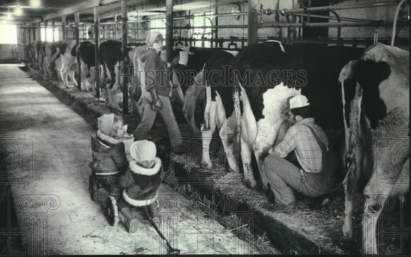 1982, Children Watch As Suzanne & Paul Chip Milk Cows On Their Farm ...