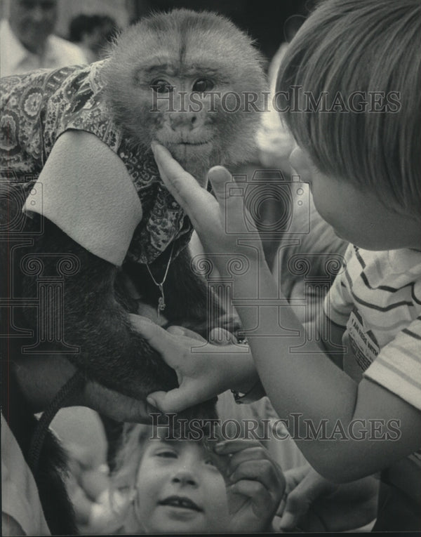 1985 Adam Monk, a monkey being petted by young boy at Summerfest ...