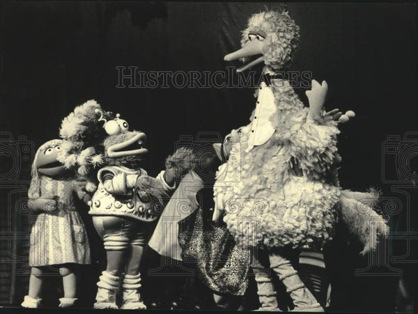 1987 "Big Bird and the ABC's" Sesame Street Live, Milwaukee - Historic ...