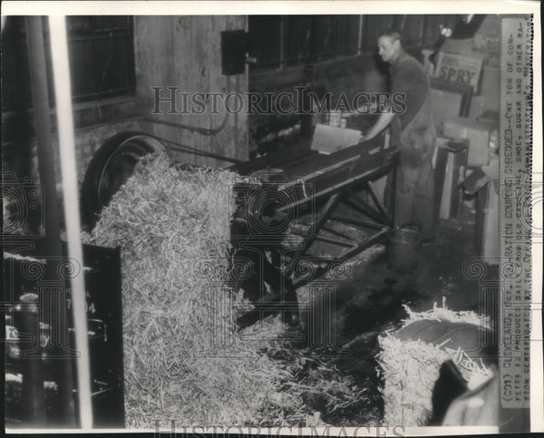 Old ration coupons being shredded into confetti, Cleveland, Ohio ...