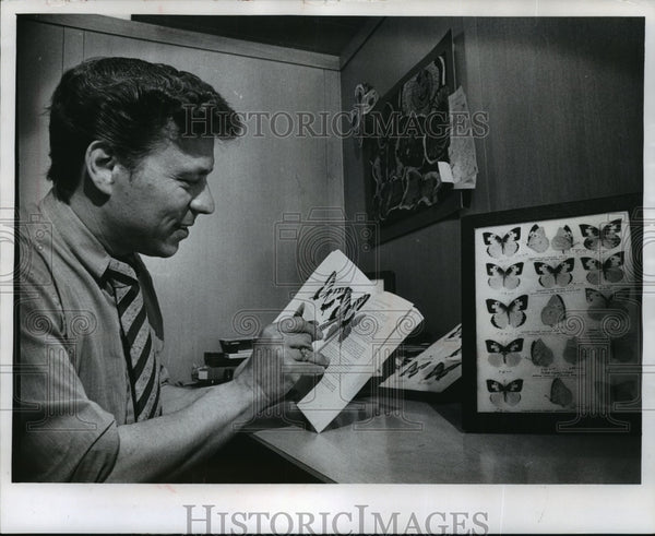 1971 Press Photo James A. Ebner with butterfly photographs in his new ...