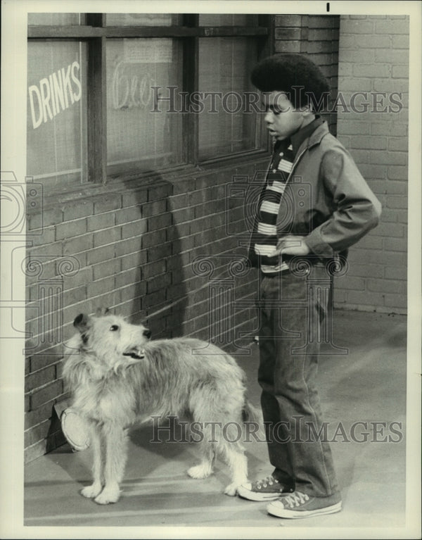 1976, Tierre Turner, with his dog Killer on The Cop & The Kid ...