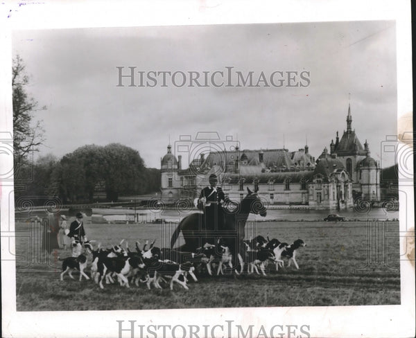 1957 Press Photo Master of Hounds with Hounds in front of Chateau, Fra ...