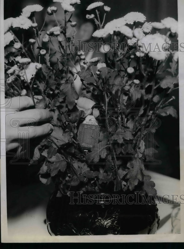 1935 Press Photo Microphone Concealed in Vase of Flowers J. Ripley Kie ...